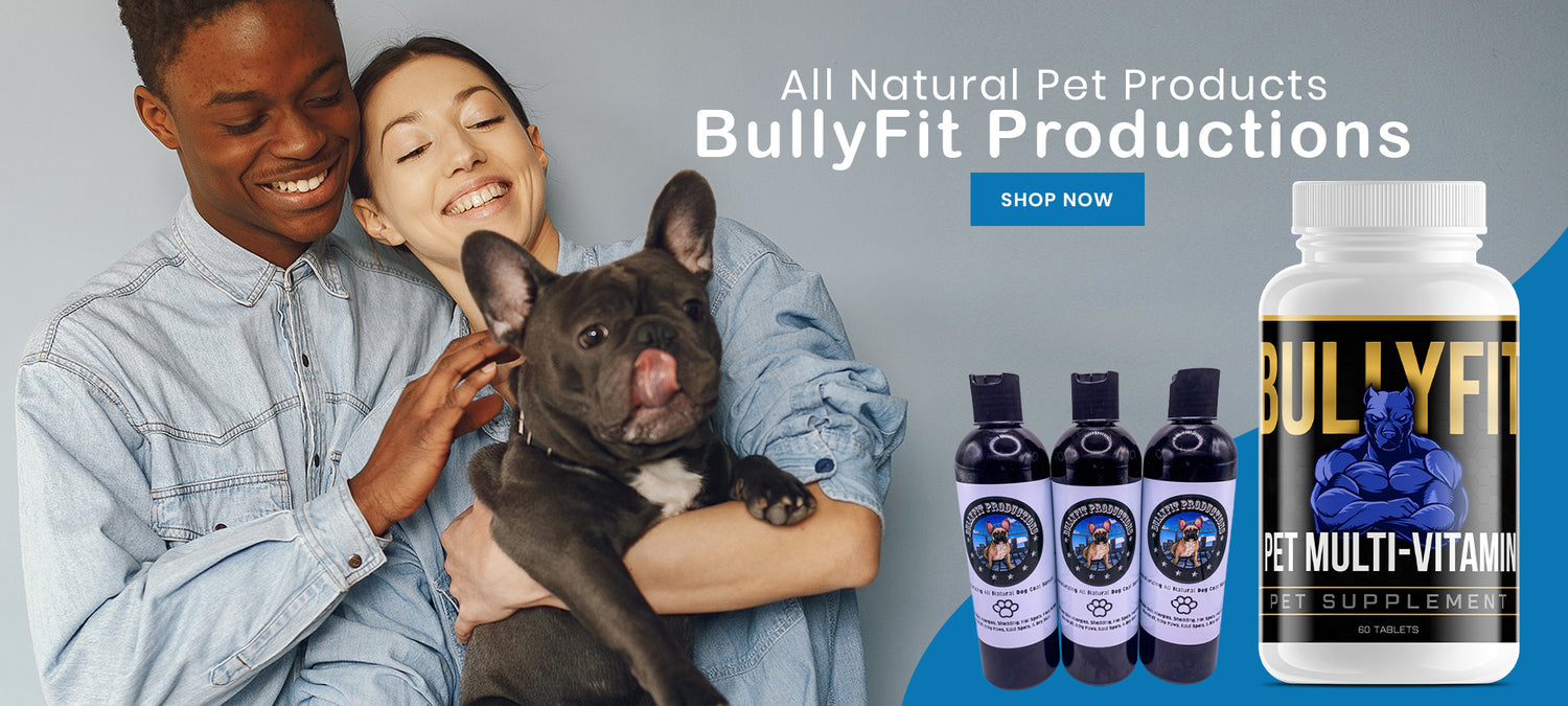 BullyFit Productions